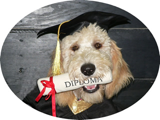 So, my coworker is the girl who is getting a puppy from the Royals ...